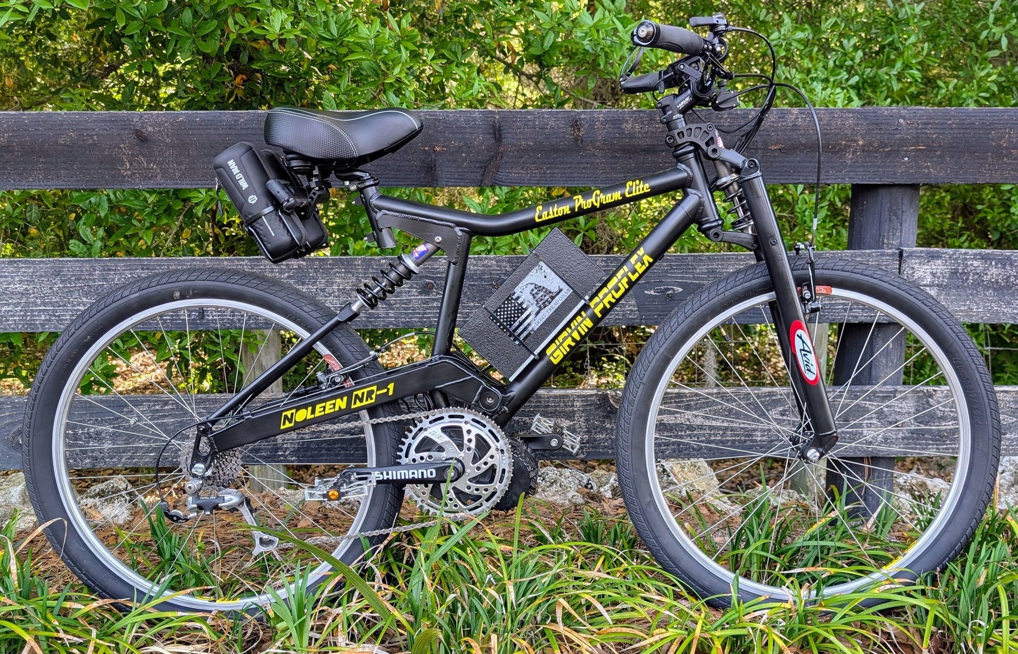 Vintage 1997 ProFlex Makeover & E-bike Conversion - Bike Forums