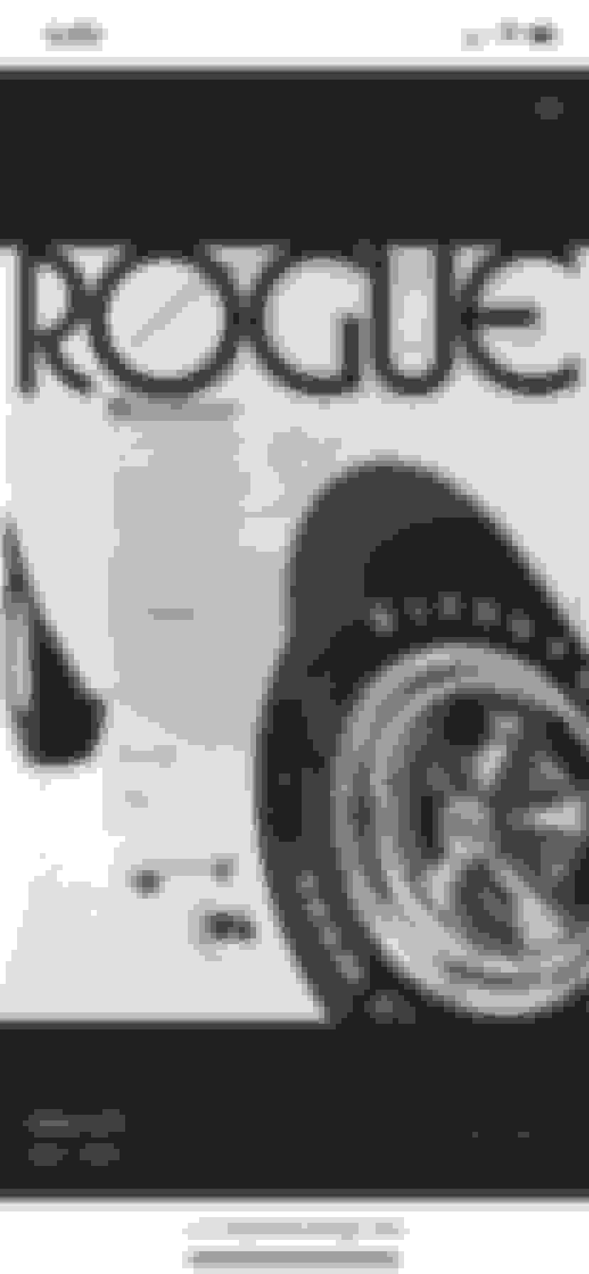 Looking for 4 15” SS rims for Cutlass or 14” Keystone Rogue ...