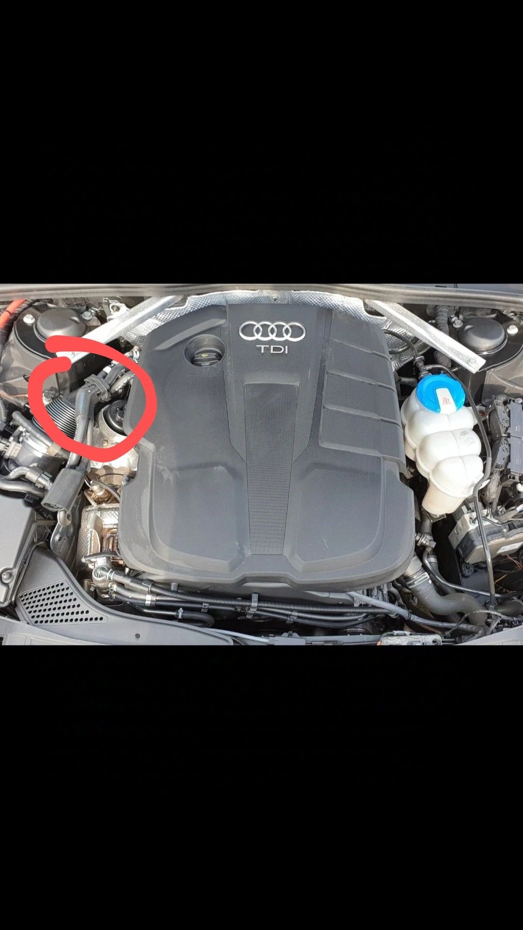 Help me identify part please!!! - AudiWorld Forums