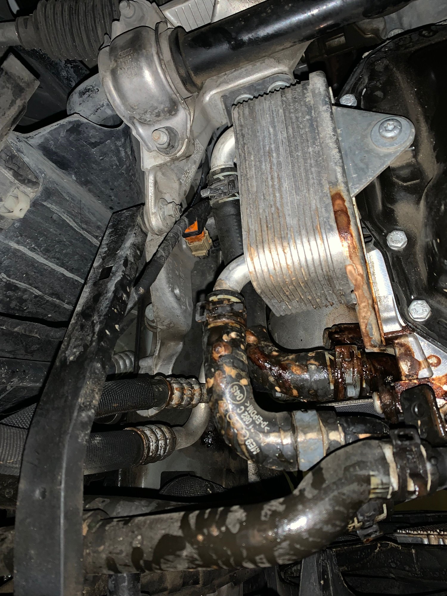 wet goo leak around front drivers side of engine - AudiWorld Forums