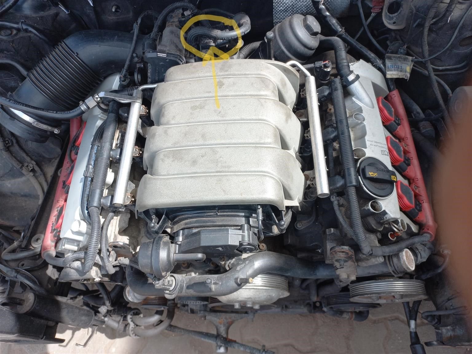 MAF location? - AudiWorld Forums