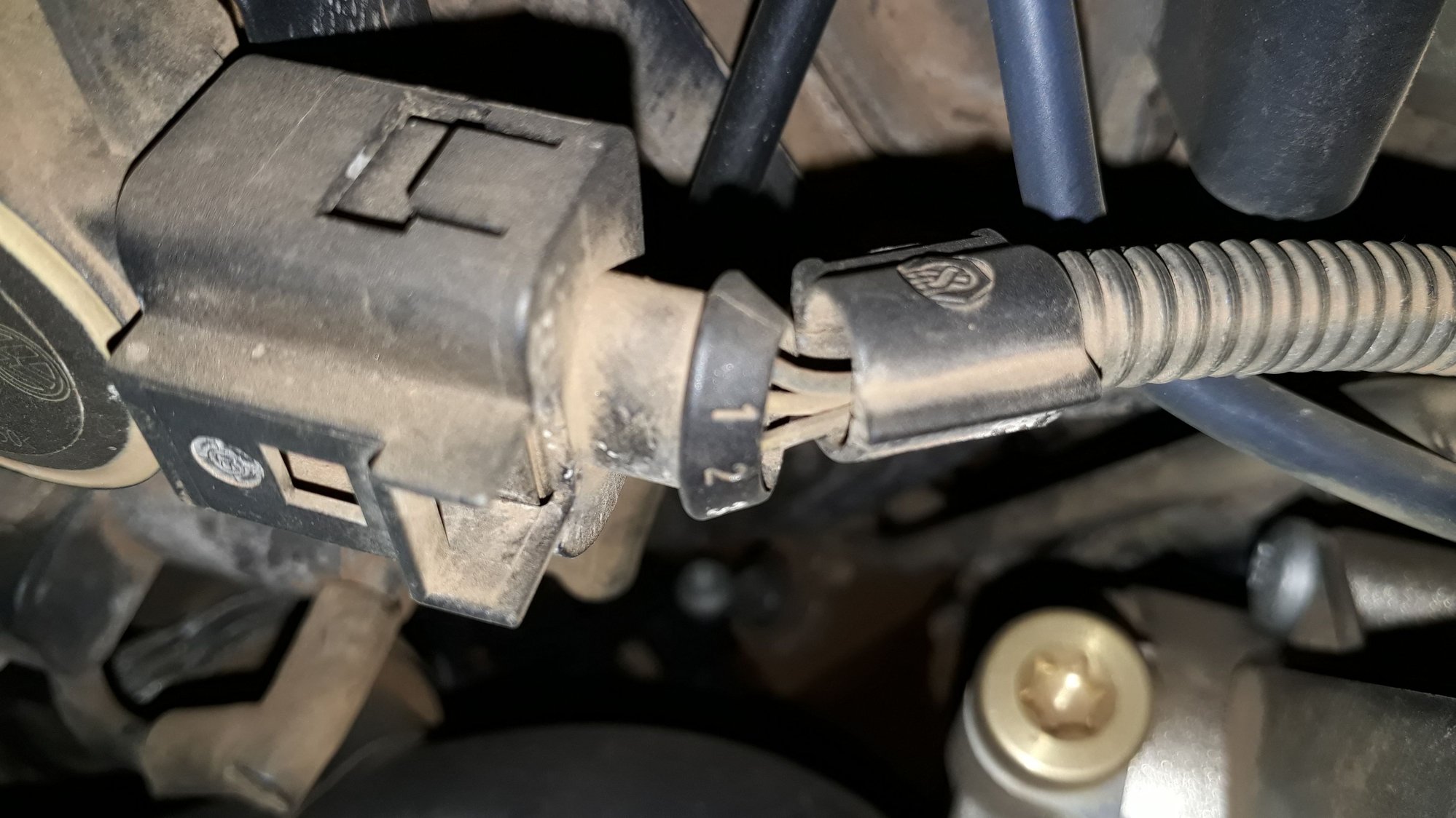 Multiple Codes after Engine swap - AudiWorld Forums