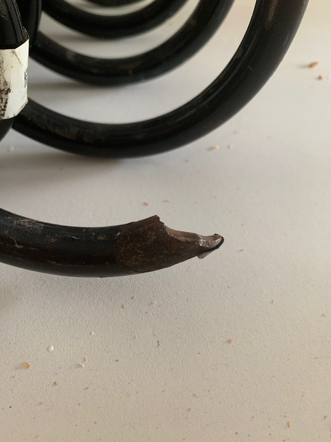 Broken rear spring - Page 3 - AudiWorld Forums