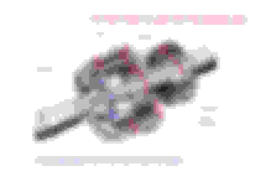 KR: Understanding the torque distribution principle of the Audi Torsen ...