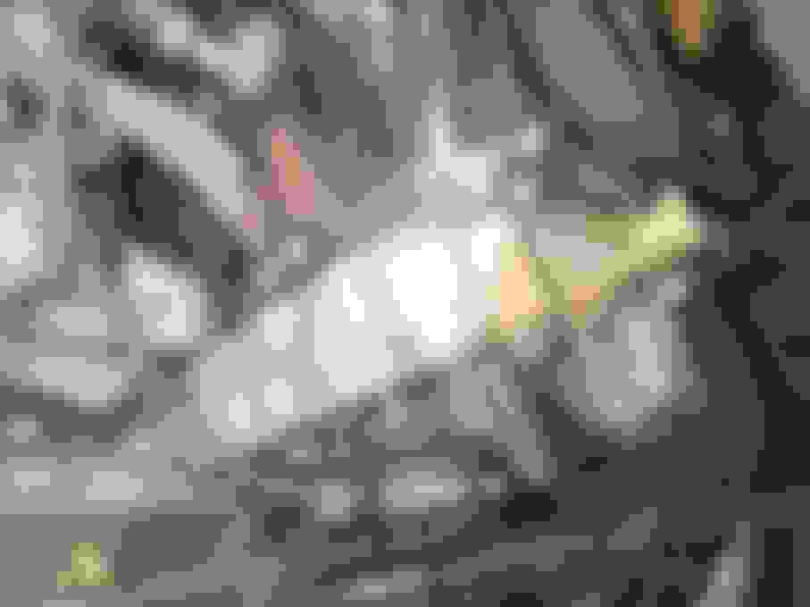 2016 A6 Engine Replacement - AudiWorld Forums