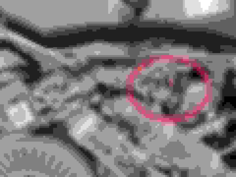 HELP valve location please!!! - AudiWorld Forums