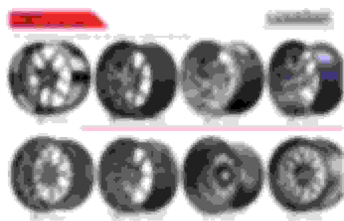 World's Ultralight Custom Forged Wheels - Gain The Edge - CorvetteForum ...