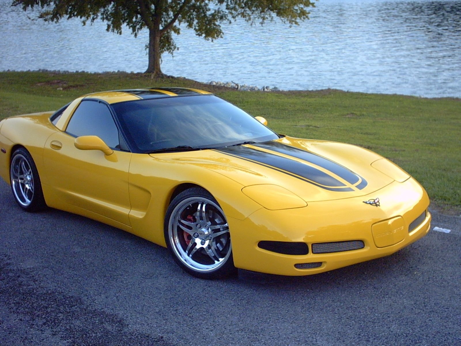 Official Competition Yellow Color Thread - Page 2 - CorvetteForum ...
