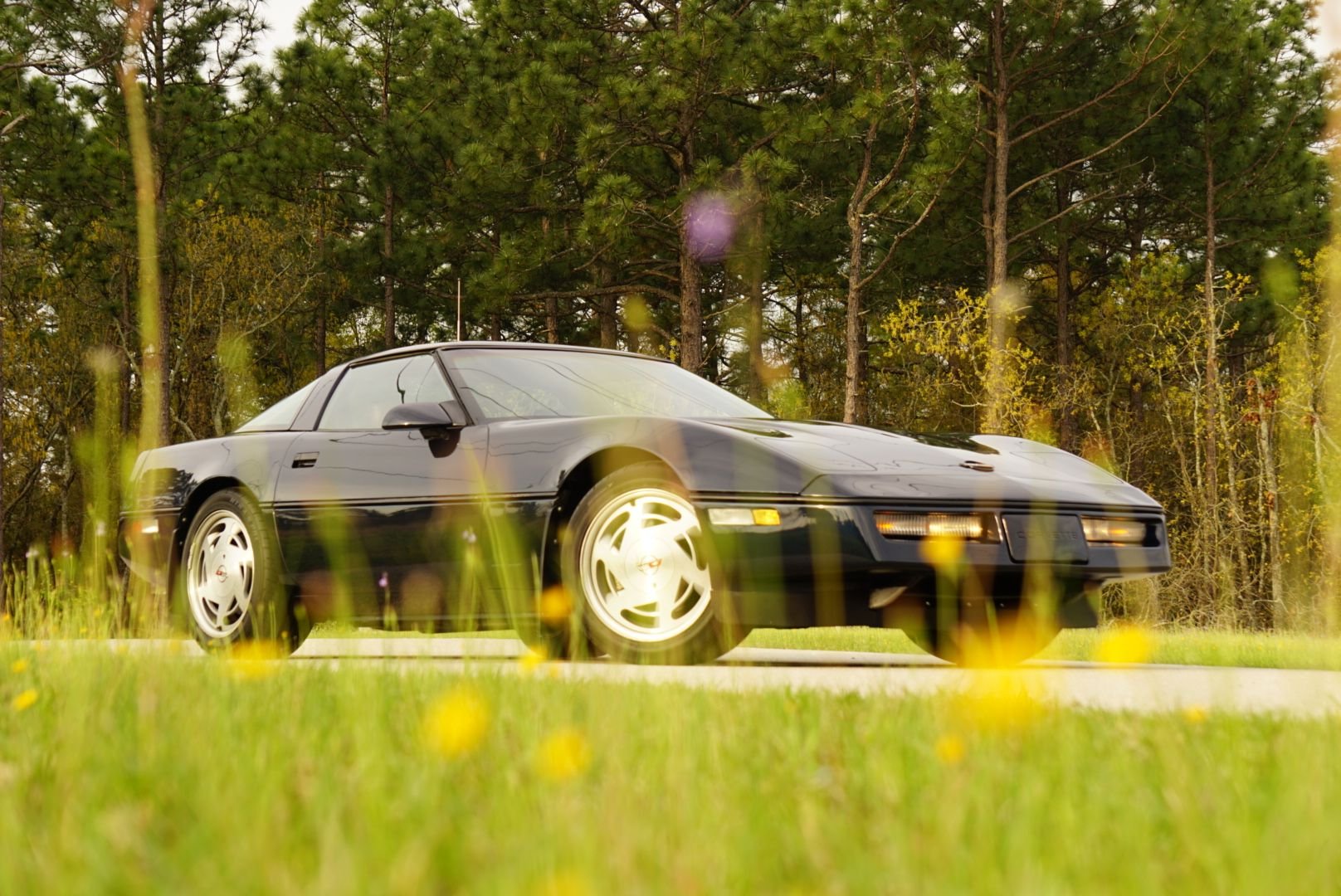 Finally Finished! - CorvetteForum - Chevrolet Corvette Forum Discussion