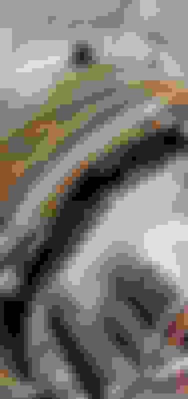 SKF X-Tracker wheel hub bearing for 86 C4 rear - install info ...