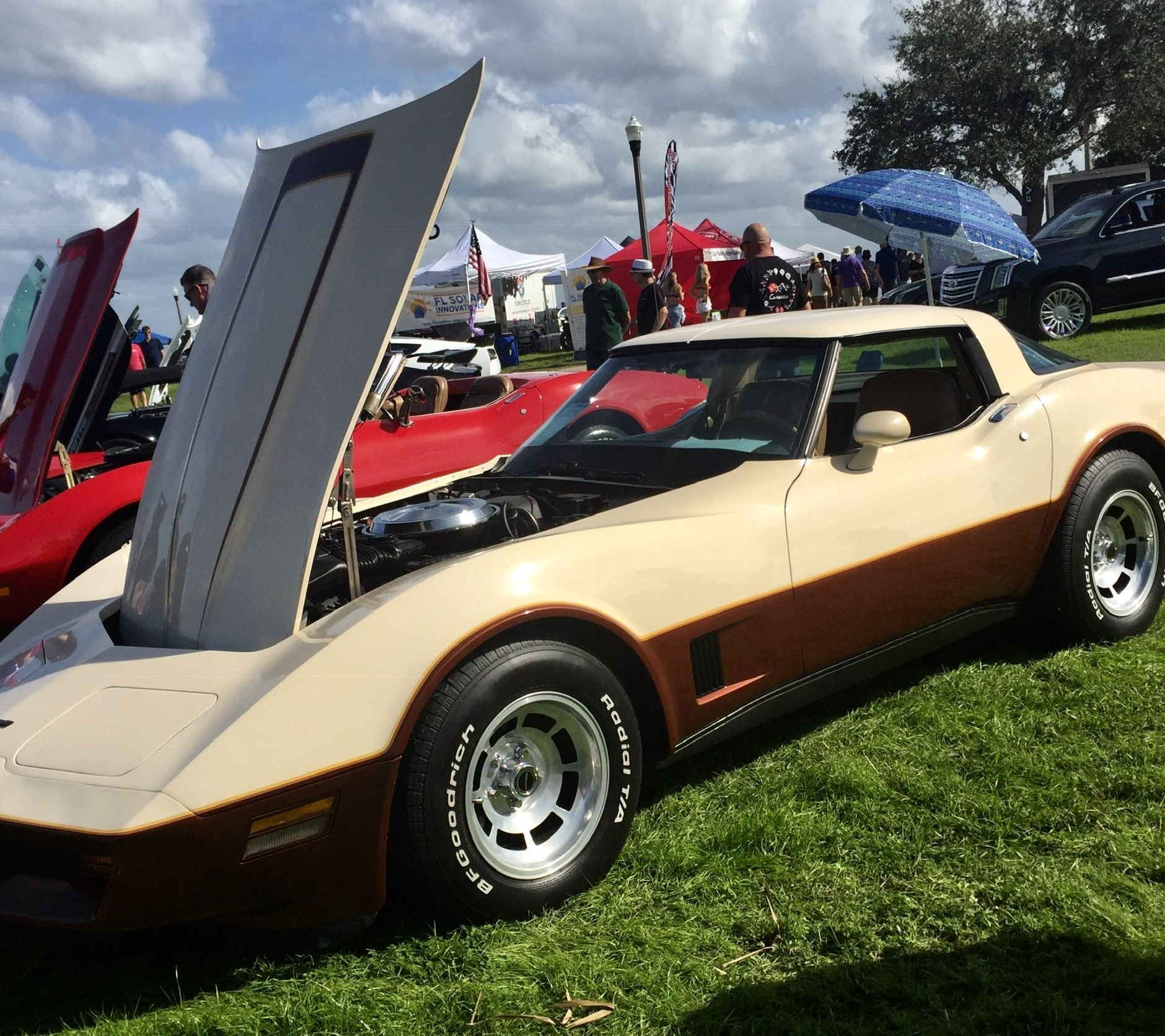 PICS! Festivals of Speed Car Show, St. Pete - CorvetteForum - Chevrolet ...