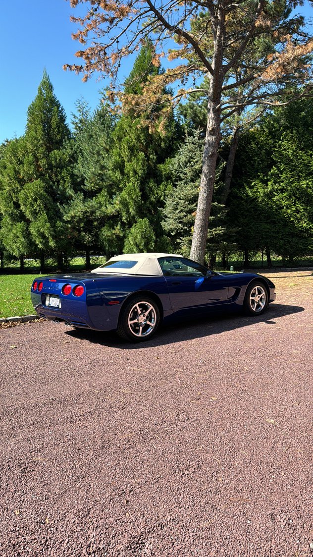 2004 CE LeMans Blue Vert - CorvetteForum - Chevrolet Corvette Forum ...