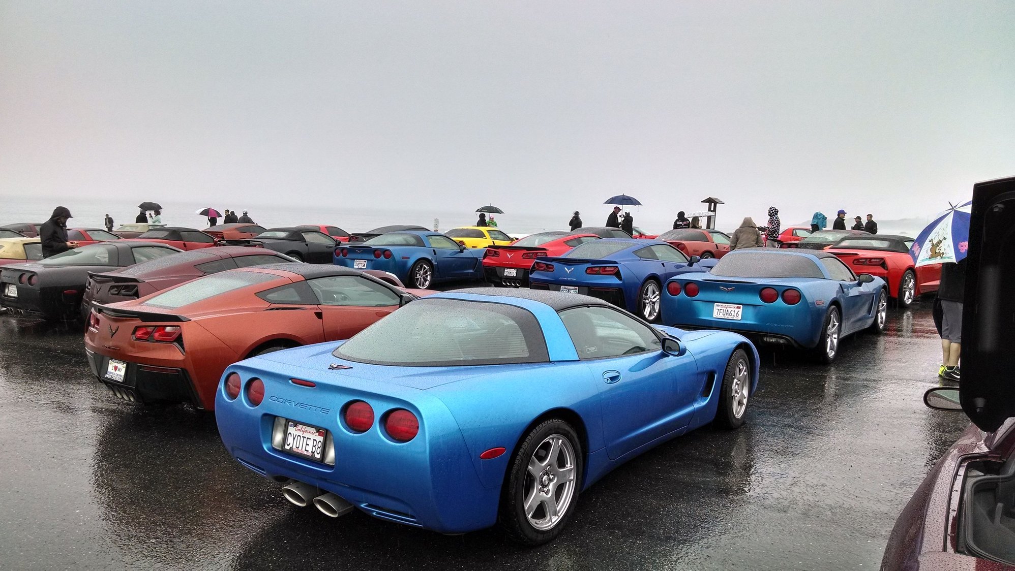 CorvetteSyndicate's RAINBOW RUN X April 8th 2017 - Page 4 ...