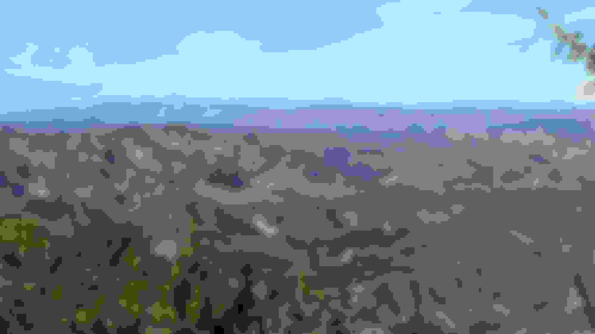 Sunday lunch with a view - CorvetteForum - Chevrolet Corvette Forum ...