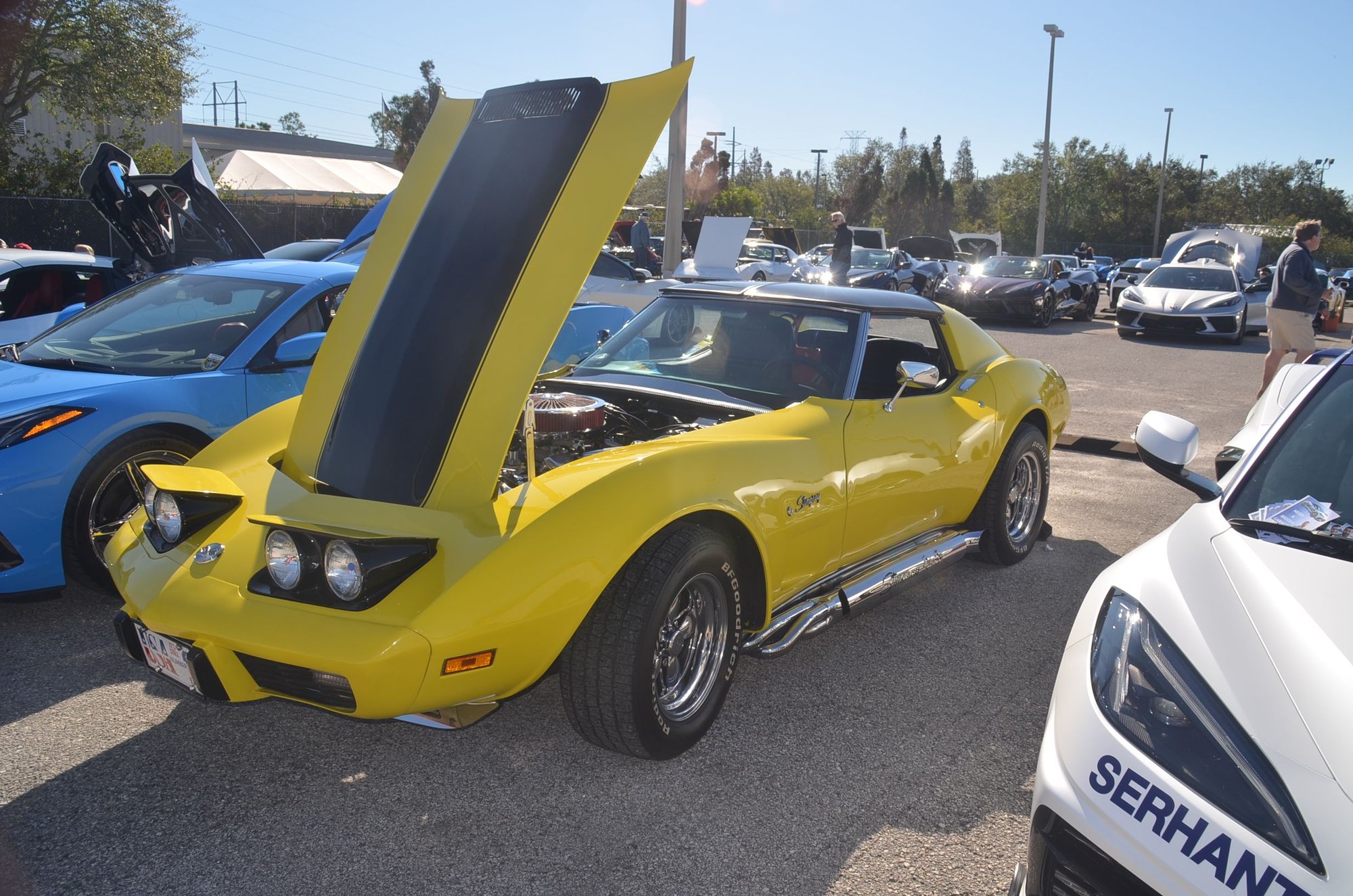 Ultimate Corvette Party in Tampa - CorvetteForum - Chevrolet Corvette ...
