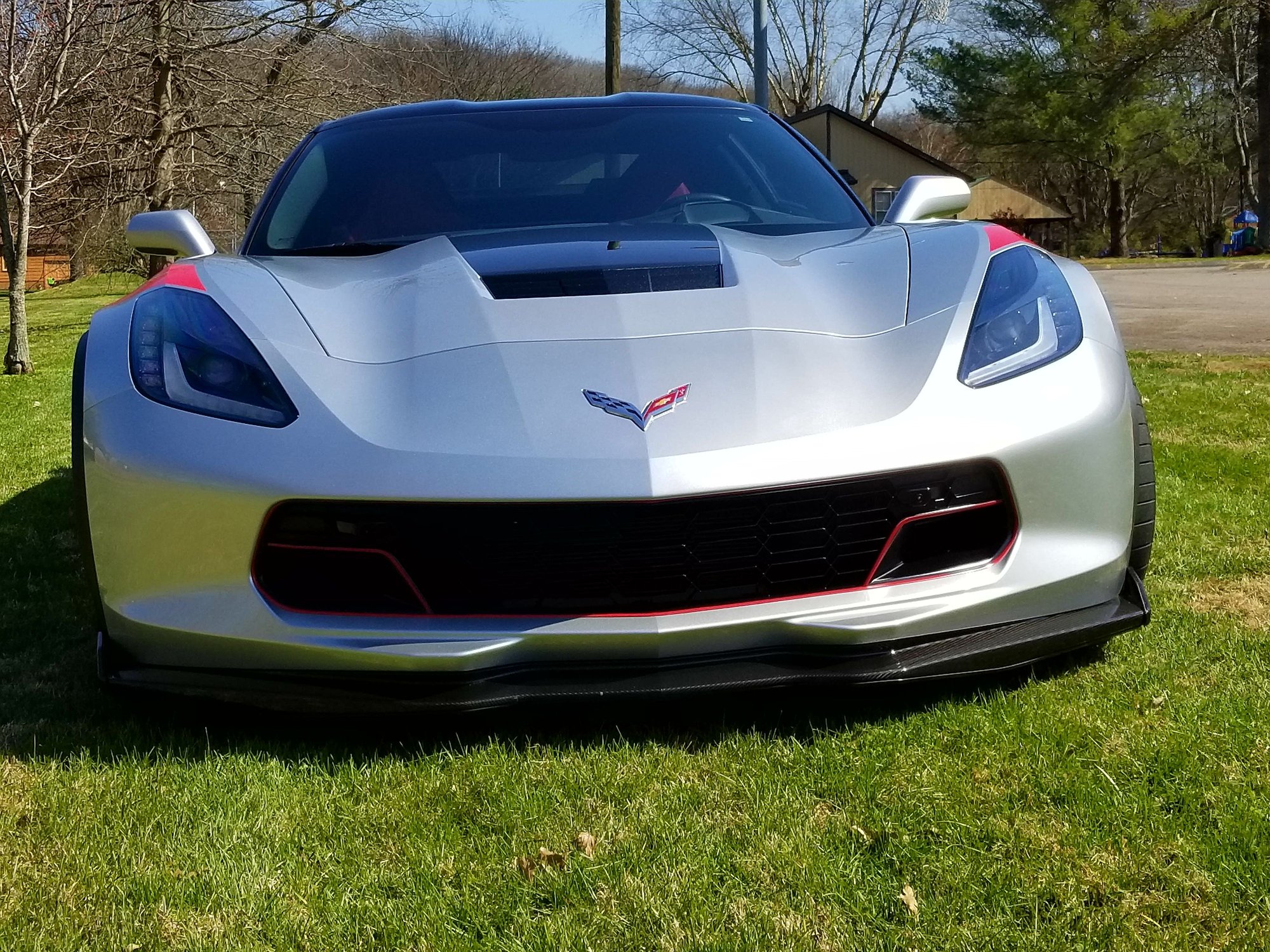 Pinstriping Z06 front grill - CorvetteForum - Chevrolet Corvette Forum ...