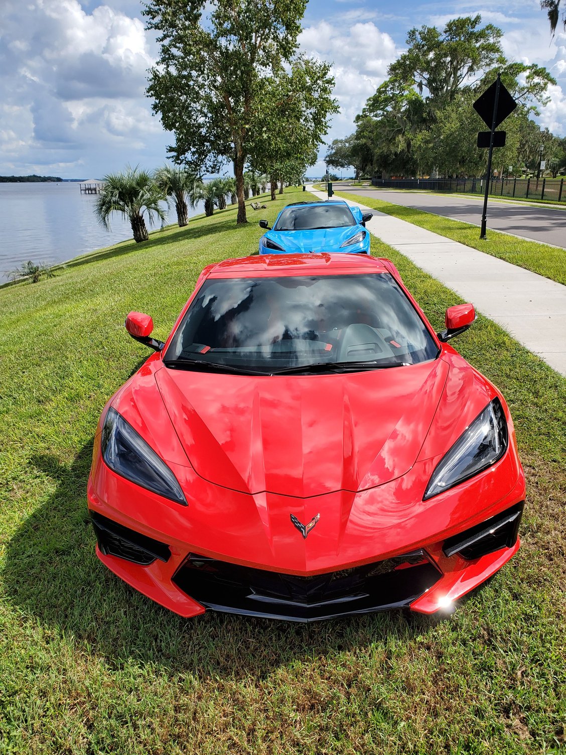 Anyone have a pic of a rapid blue C8 next to a torch red C8 ...