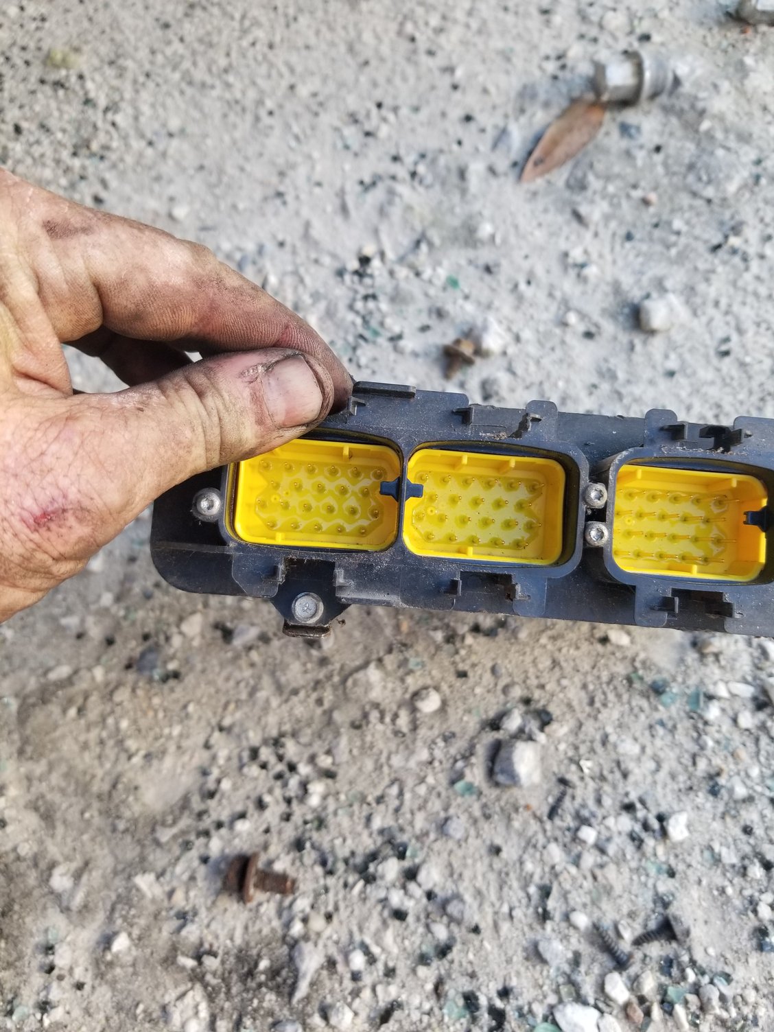 FS (For Sale) Fs 1992-93 Corvette ECM and Prom - CorvetteForum ...