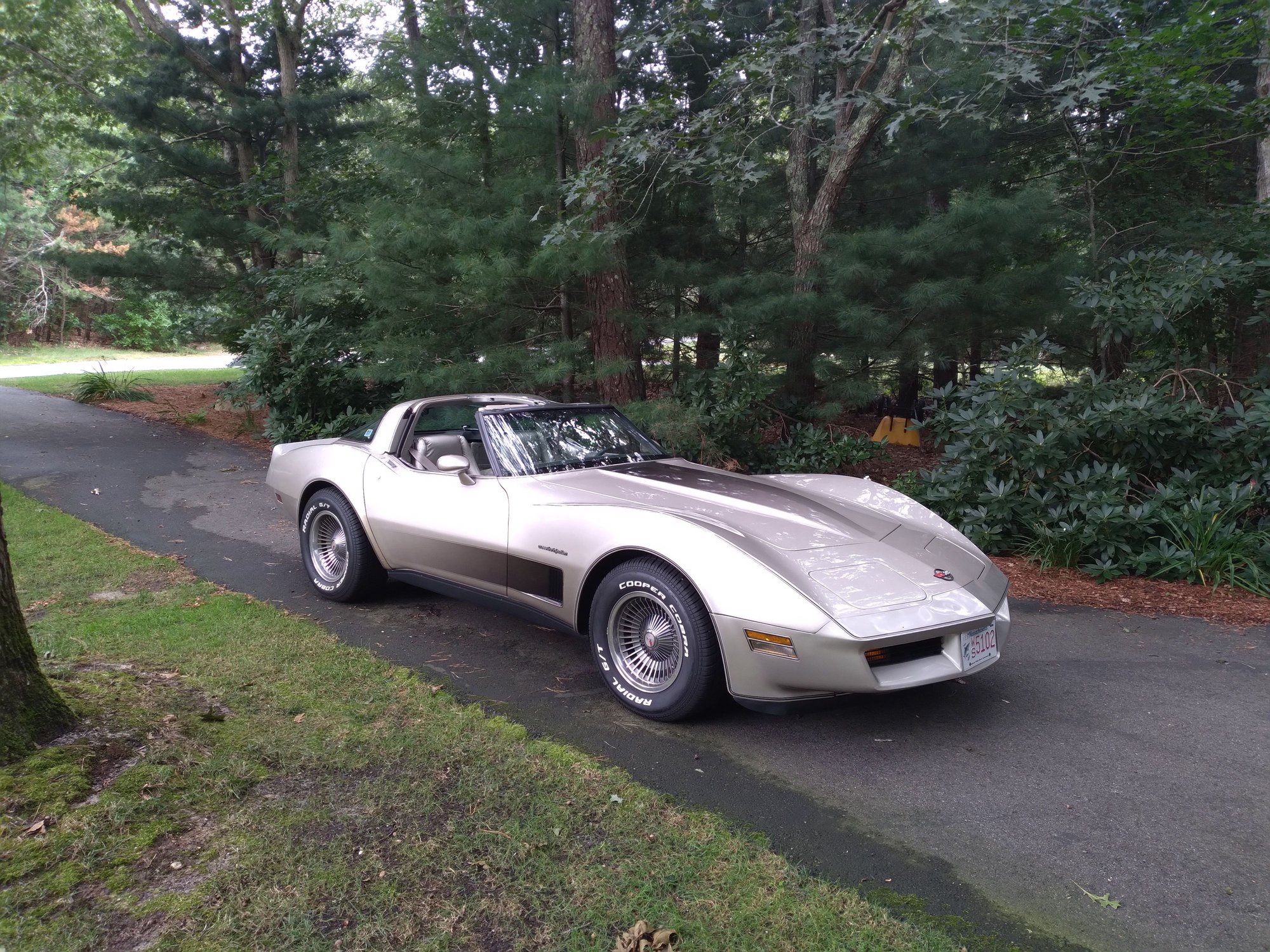 1982 Corvette Non-CE Original Tires - CorvetteForum - Chevrolet ...