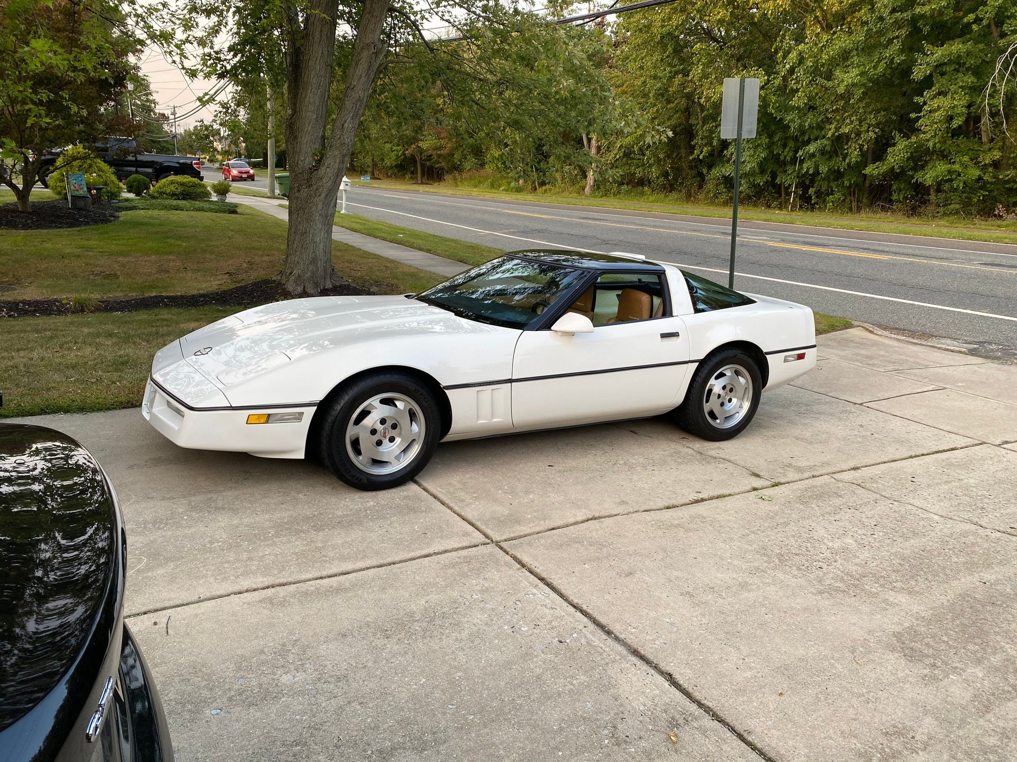 Winterizing my 86 corvette - CorvetteForum - Chevrolet Corvette Forum ...