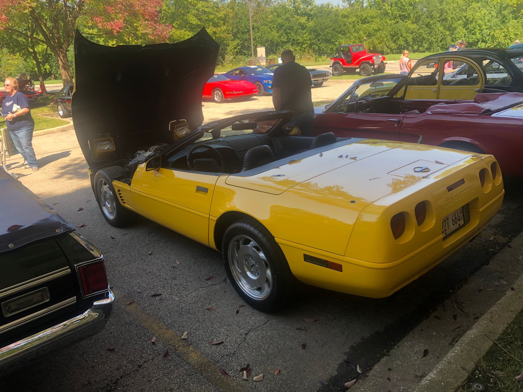 Brookdale Lisle Car Show - CorvetteForum - Chevrolet Corvette Forum ...
