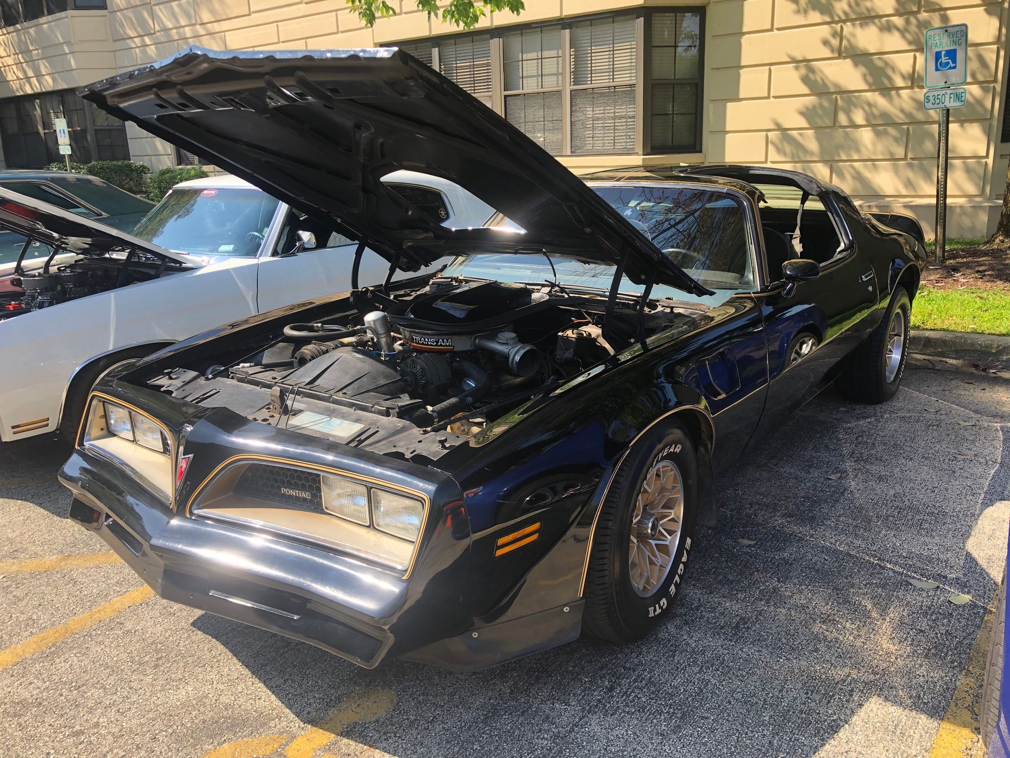 Brookdale Lisle Car Show - CorvetteForum - Chevrolet Corvette Forum ...