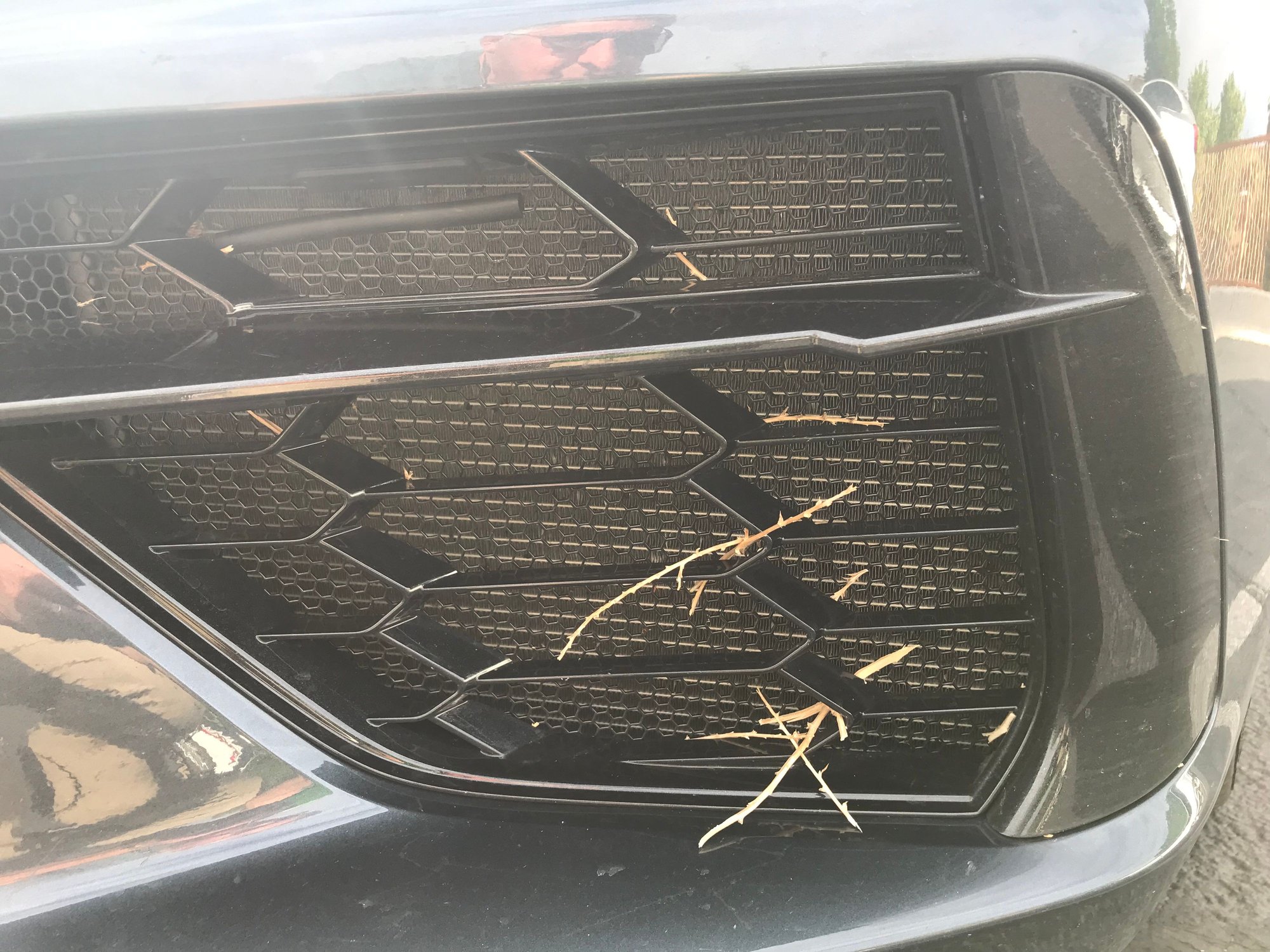 Which C8 Radiator Screens do you recommend? - CorvetteForum - Chevrolet ...