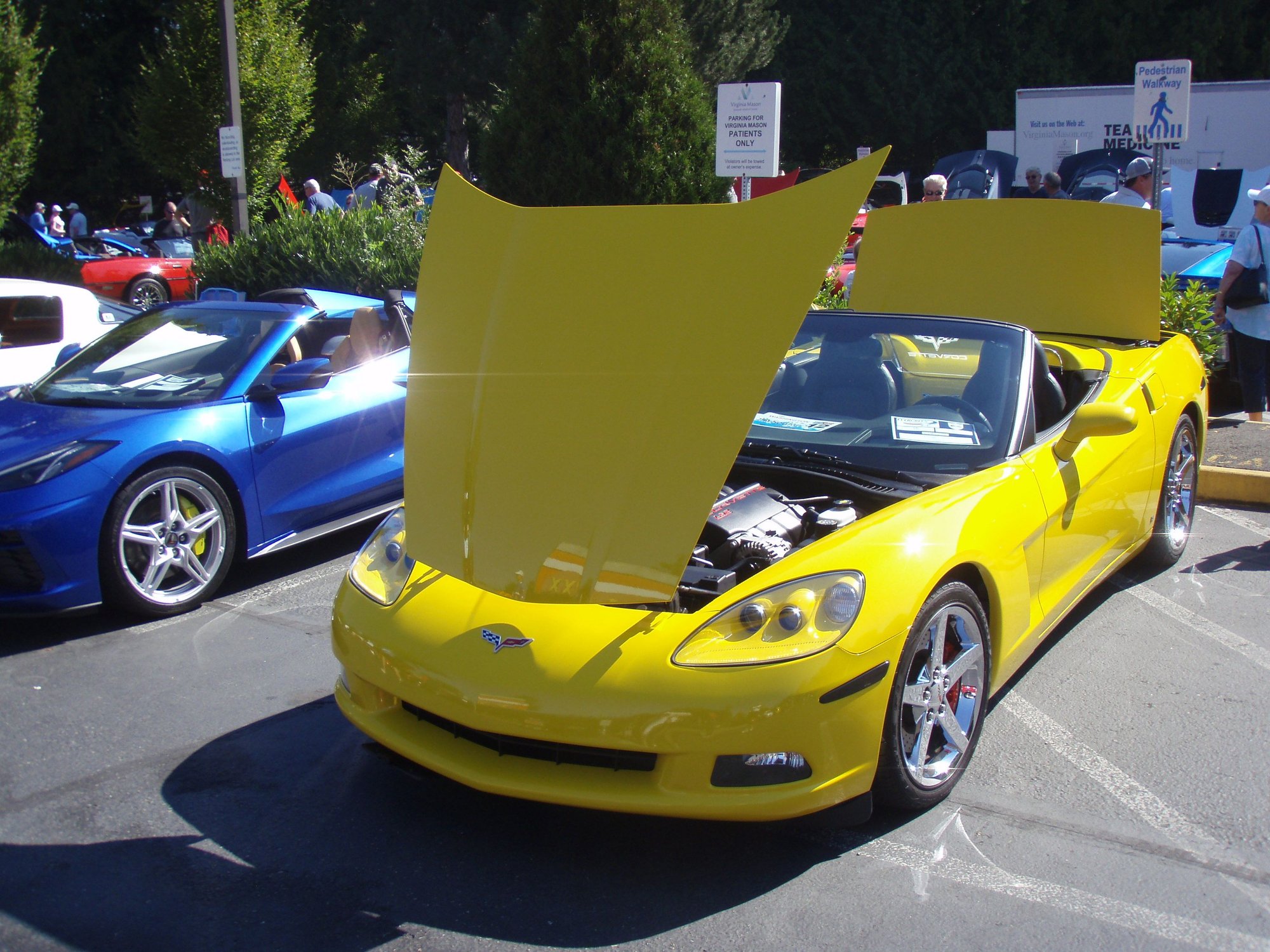 All Corvette Show -- XXX Root Beer Issaquah - CorvetteForum - Chevrolet ...