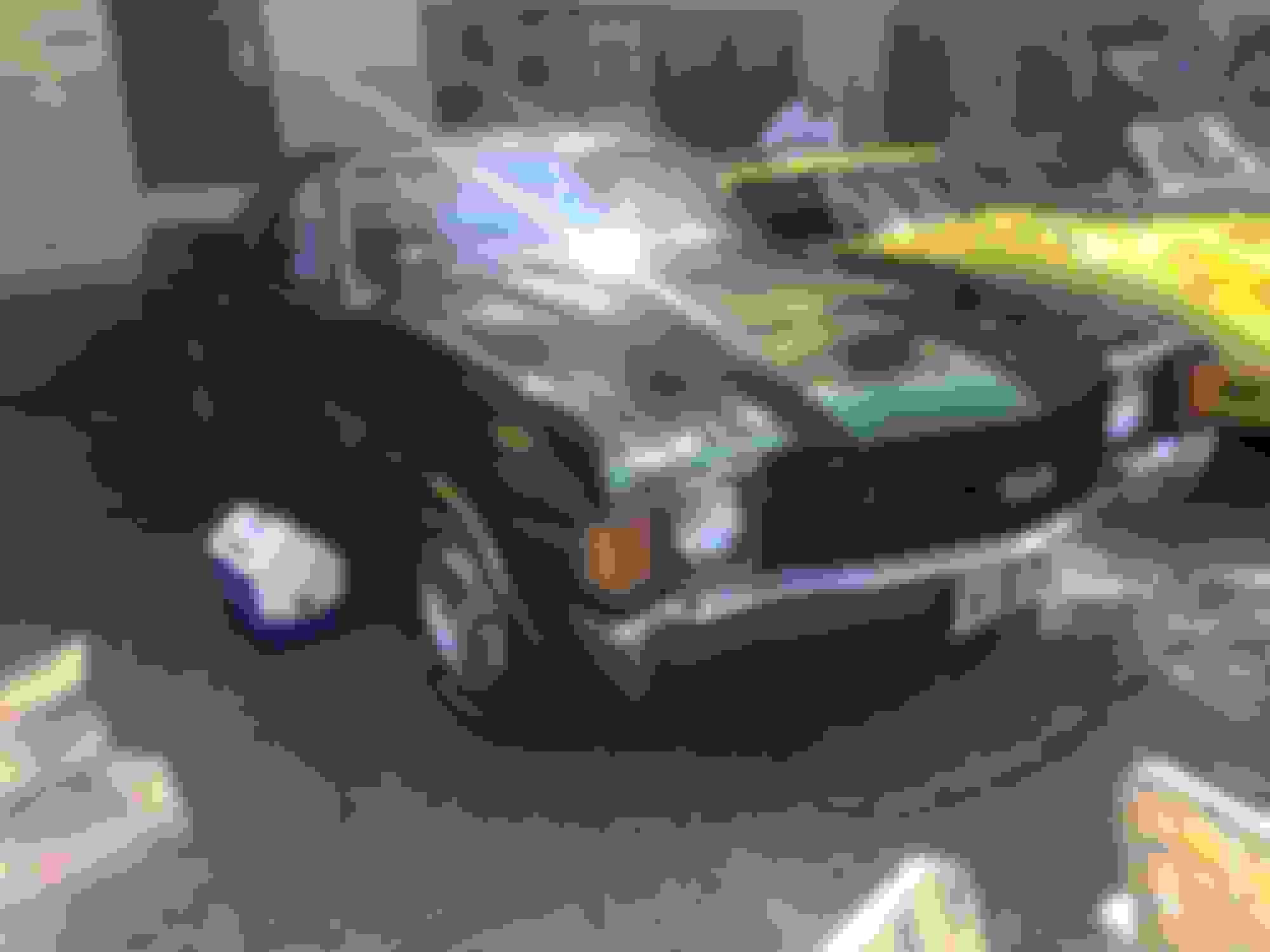 Brookdale Lisle Car Show - CorvetteForum - Chevrolet Corvette Forum ...