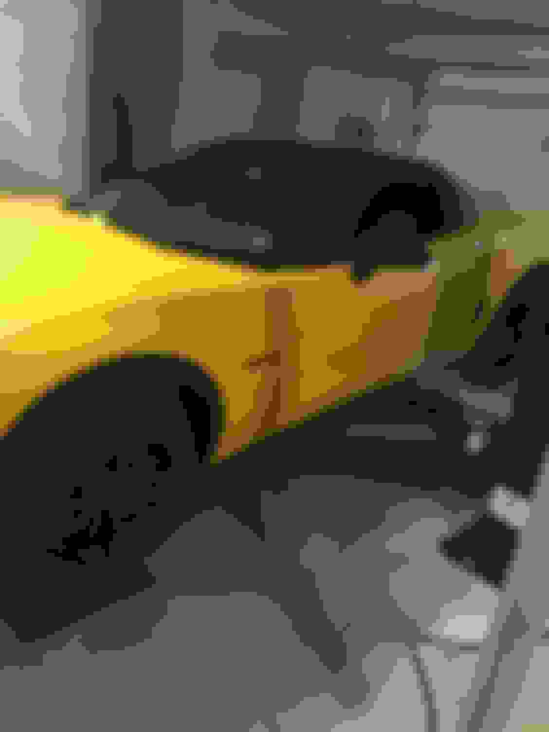 FS (For Sale) 2006 velocity yellow zo6 - CorvetteForum - Chevrolet ...