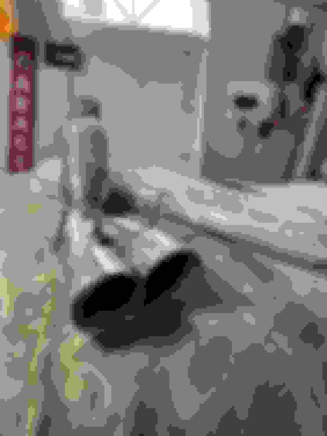 Z06 Custom exhaust chime in - CorvetteForum - Chevrolet Corvette Forum ...