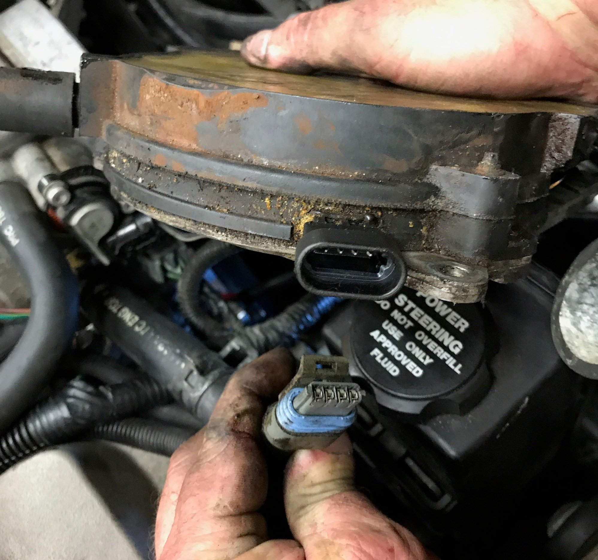MSD Optispark - issue connecting to harness - CorvetteForum - Chevrolet ...