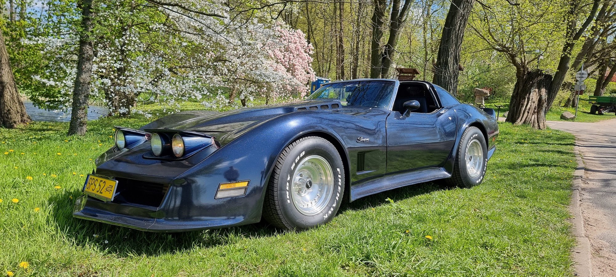 Information needed about limited 1969 batmobile - CorvetteForum ...