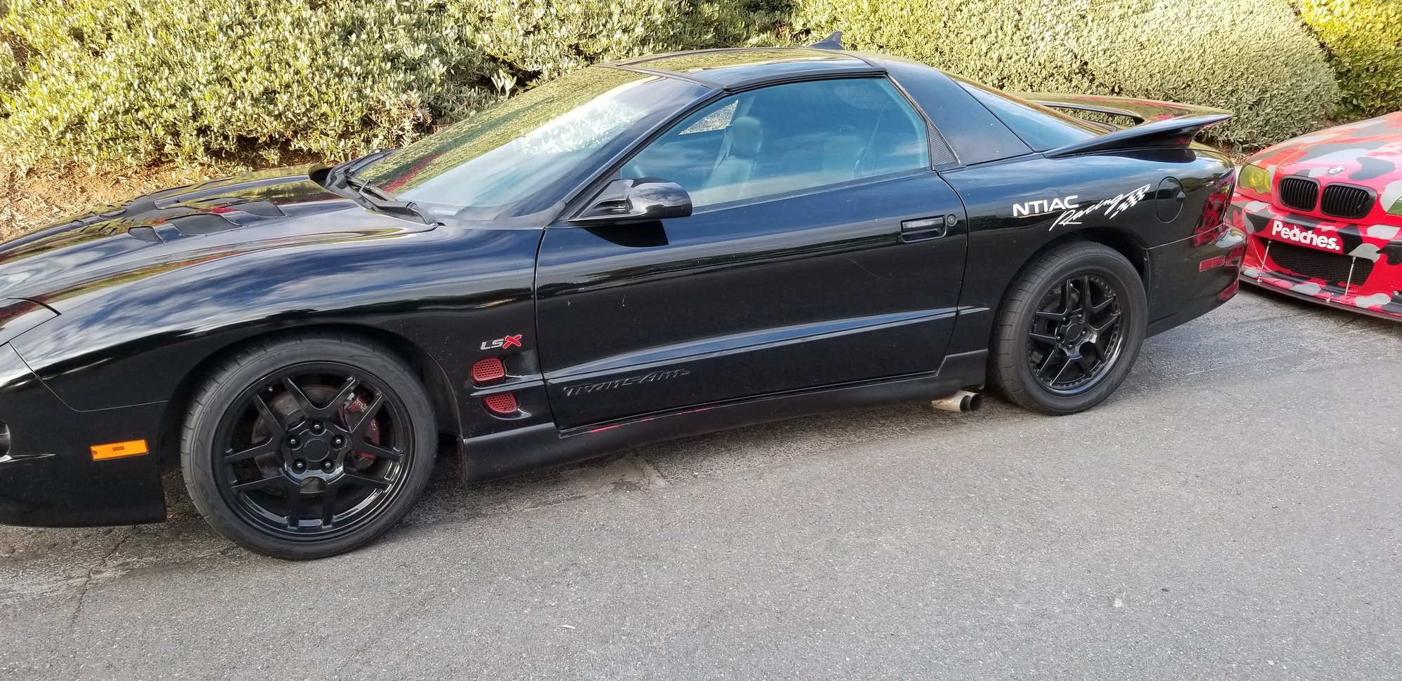 Trans Am LSX, what and where? - CorvetteForum - Chevrolet Corvette ...