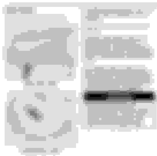 Battery maintainer proper hook up - CorvetteForum - Chevrolet Corvette ...