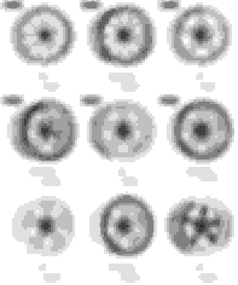 WELD Performance RT-S Forged Wheels - S80 S81 S82 S70 S71 S72 S76 S77 ...