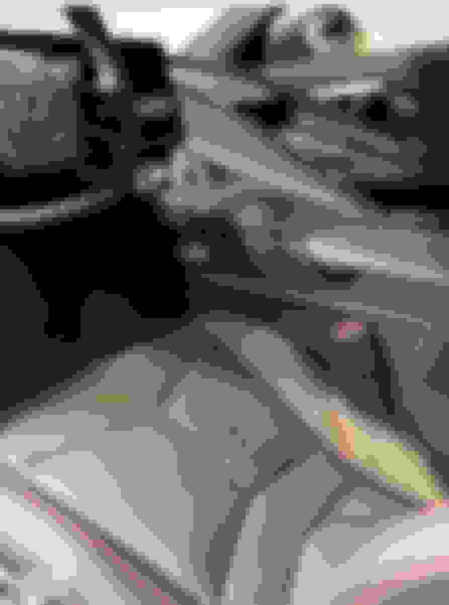 SOLD 2023 Red Mist Coupe, 3LT, Z51, MagRide, Front Lift - CorvetteForum - Chevrolet Corvette ...