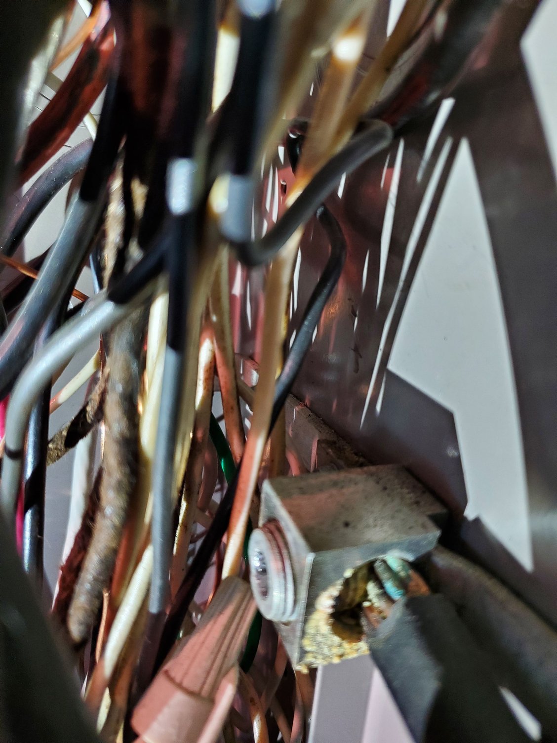 Corrosion on Incoming Panel Neutral - DoItYourself.com Community Forums