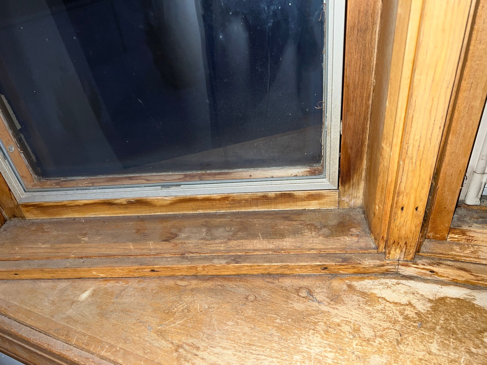 Bay window rotting on the outside and causing some water spots to ...