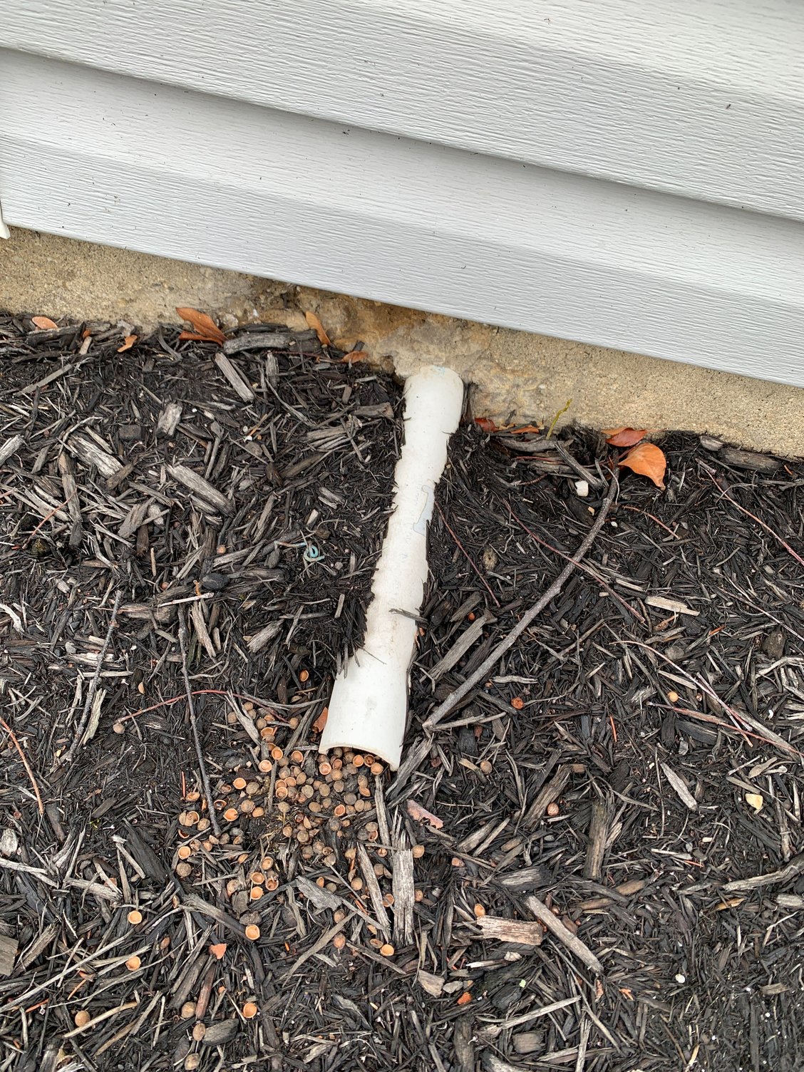 Mice getting in pipe for sump pump drain - DoItYourself.com Community ...