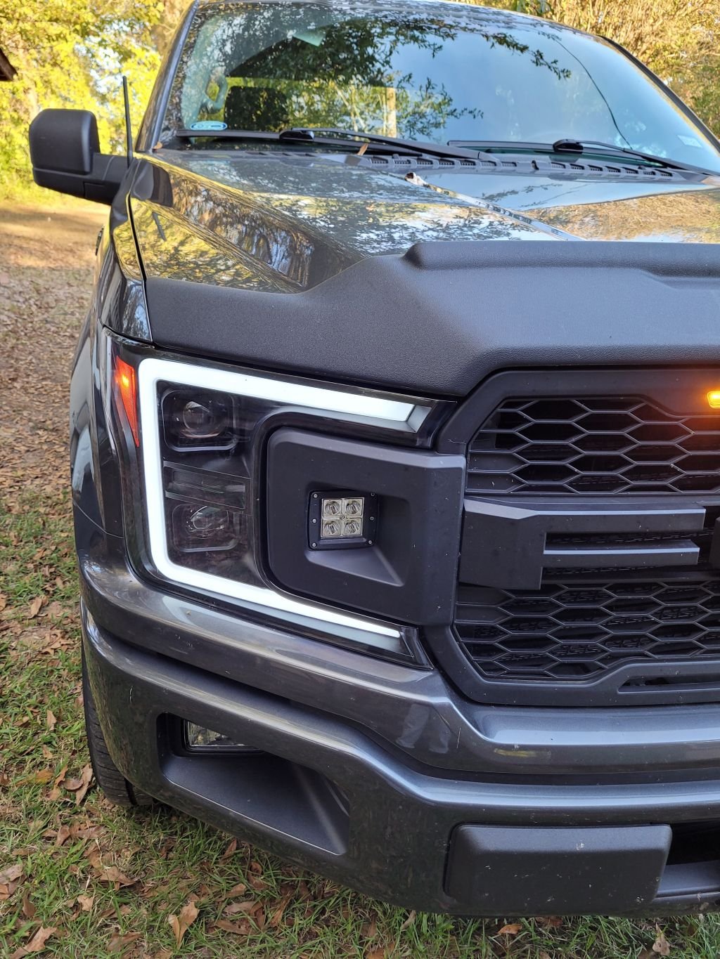 Yes...another fake raptor grill - Page 2 - Ford F150 Forum - Community ...