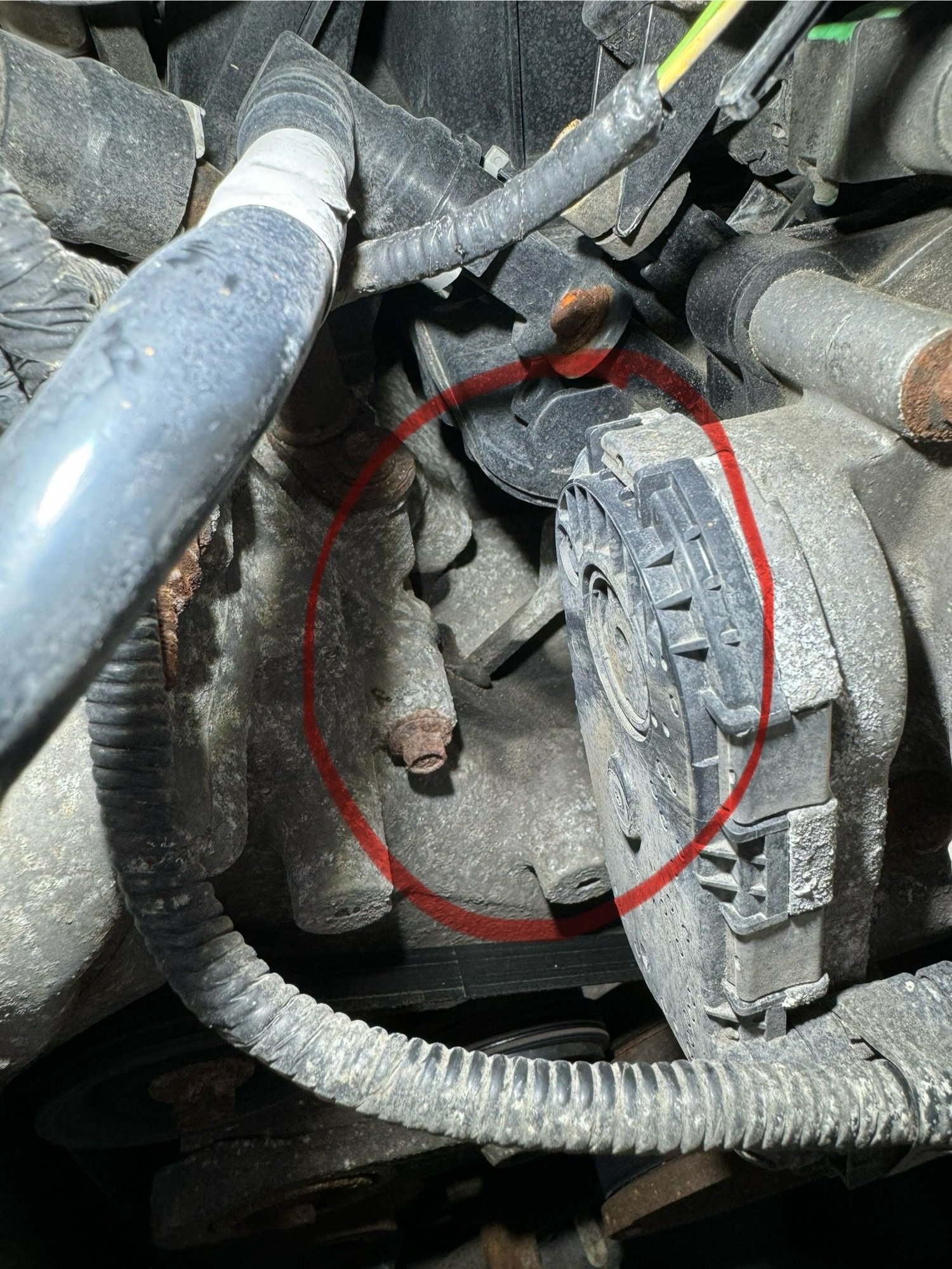 F150 Oil Leak? - Ford F150 Forum - Community of Ford Truck Fans