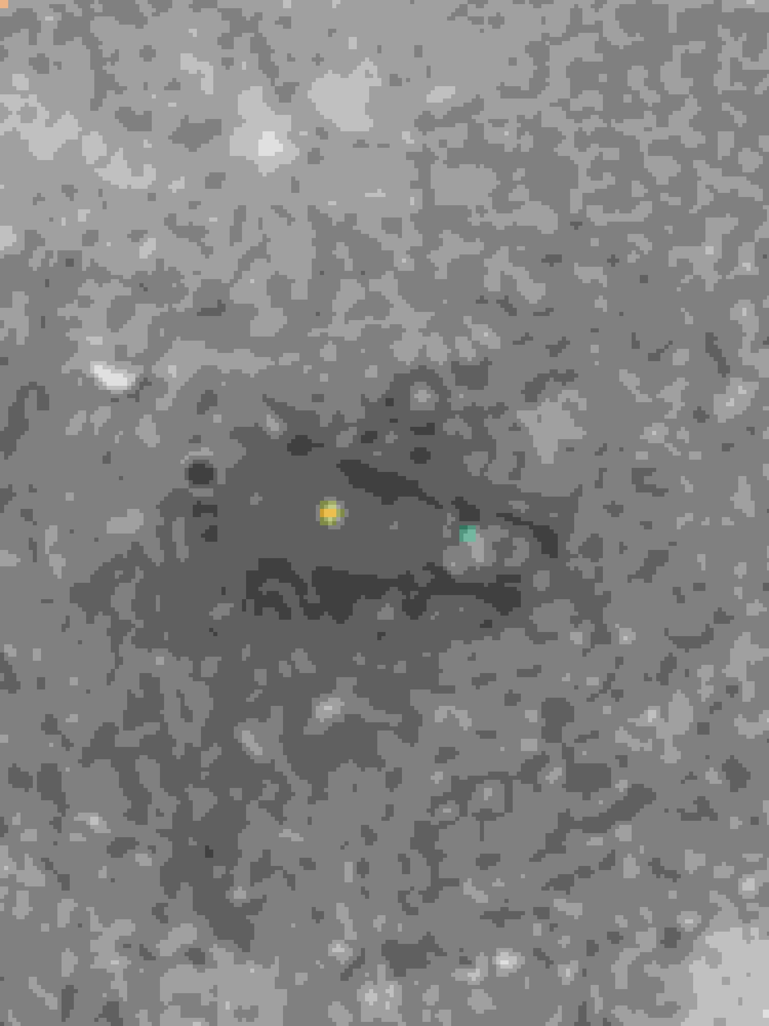 2017 5.0 L Engine Availability Aftermarket Intake Manifold - Ford F150 ...