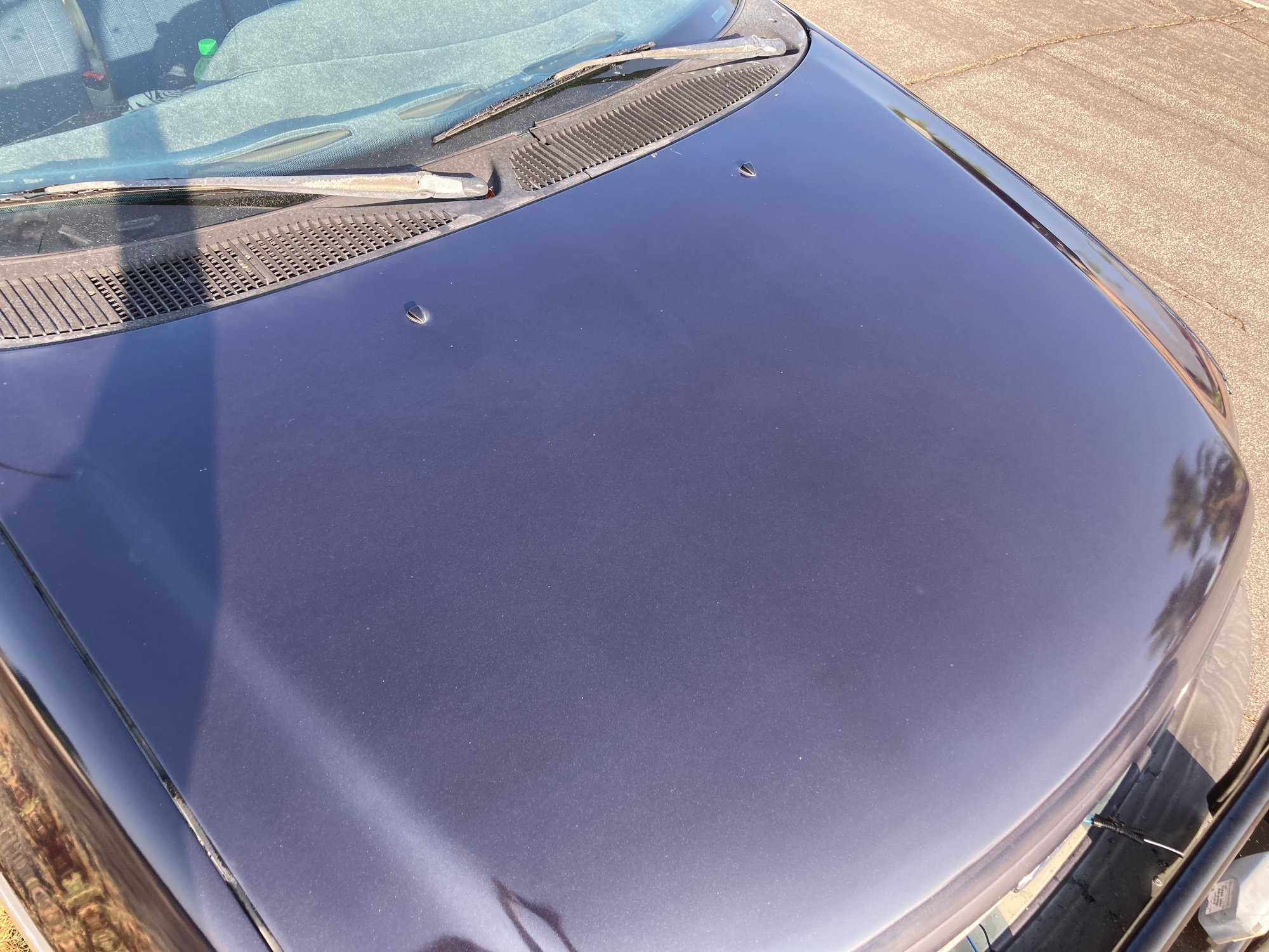 Having trouble buffing severely oxidized hood - Page 5 - Ford F150 ...