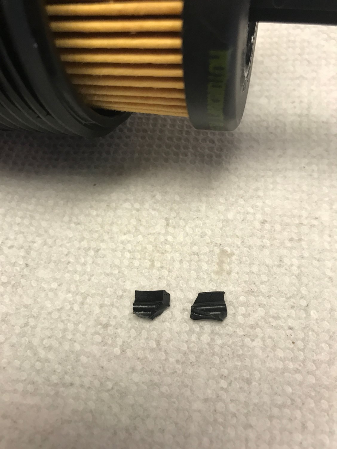 Found some pieces of broken plastic in my oil filter - Ford F150 Forum ...