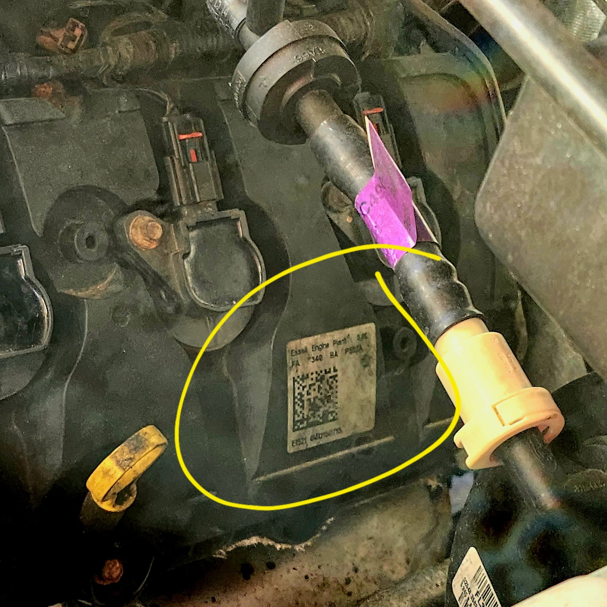 Gen 3 Coyote Engine 5.0 - Engine ID Tag - Ford F150 Forum - Community ...