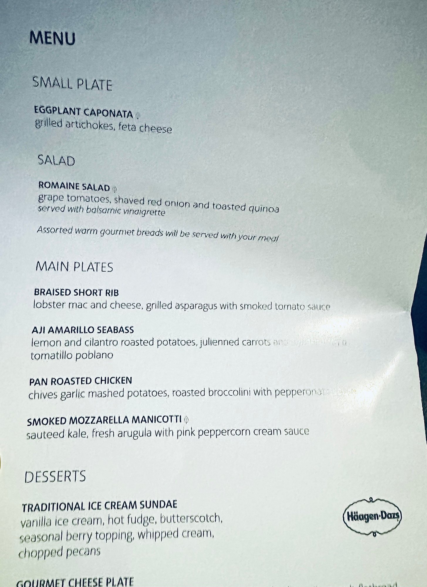 2025 AA International Meal / Meals - menu / photos / etc. (master ...