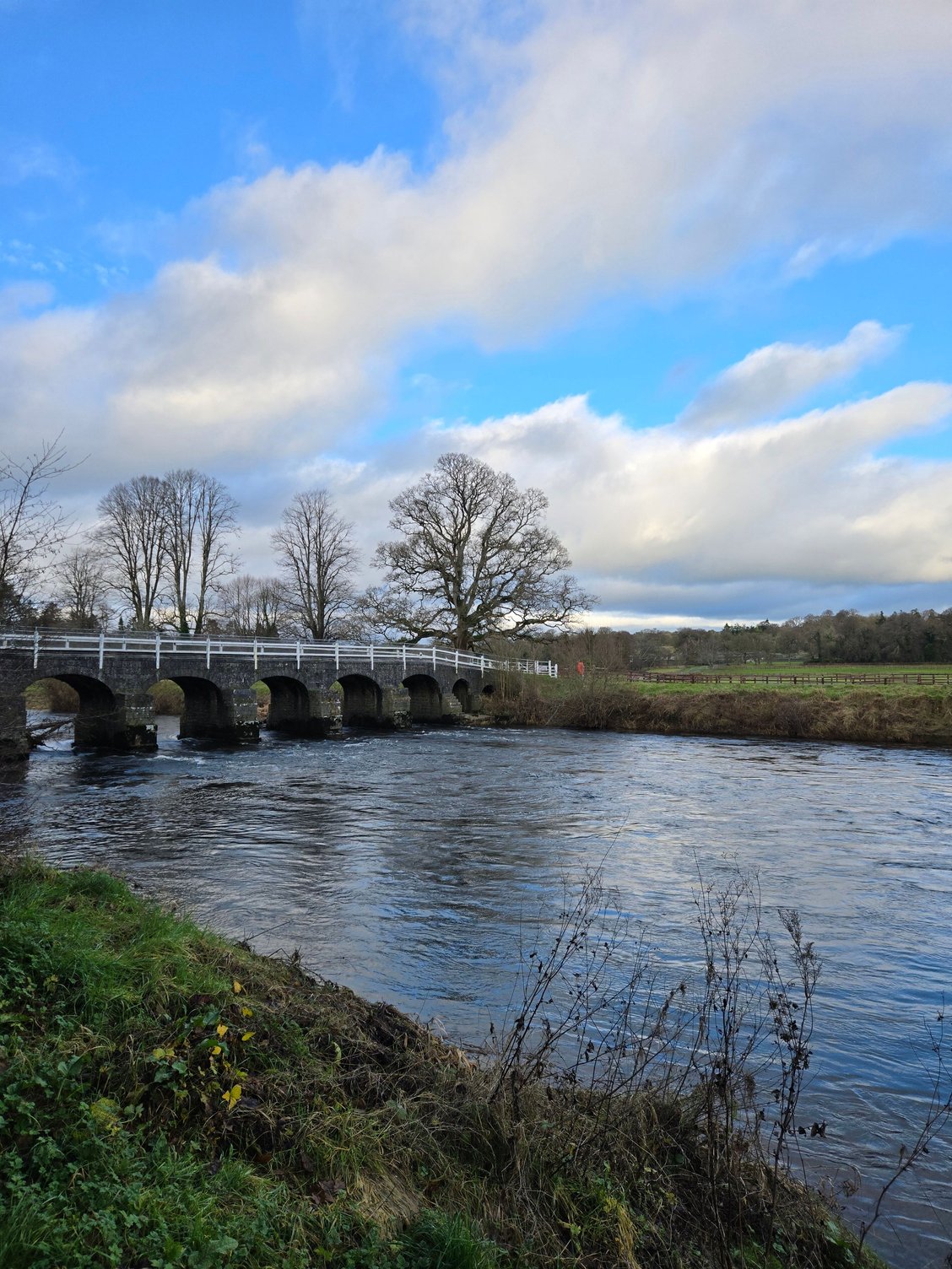 A Kilkenny Christmas and a Muskoka New Year - Page 2 - FlyerTalk Forums