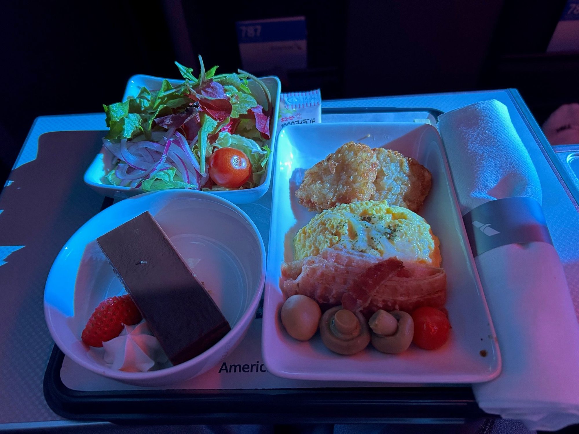 2025 AA International Meal / Meals - menu / photos / etc. (master ...