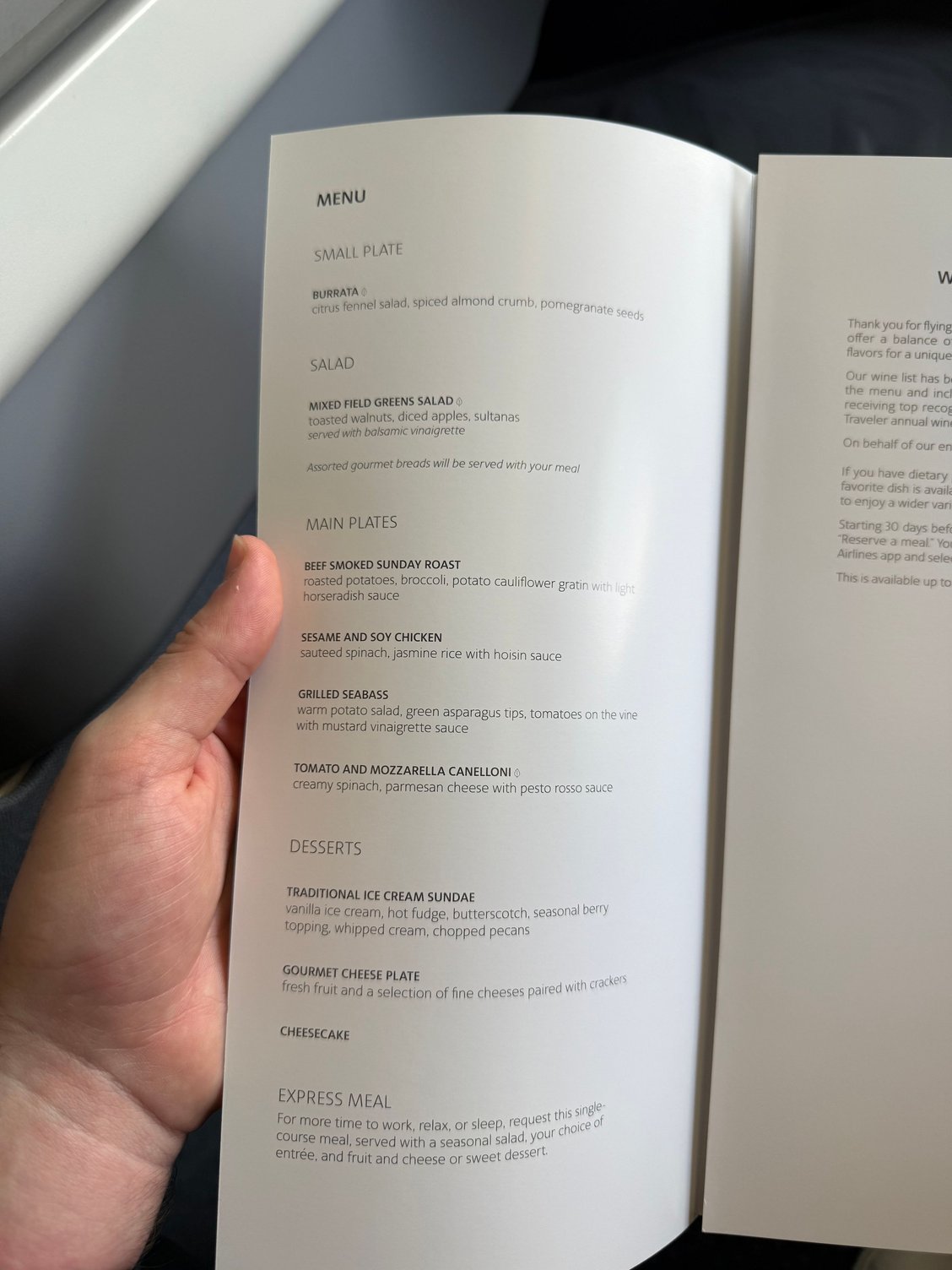 2025 AA International Meal / Meals - menu / photos / etc. (master ...